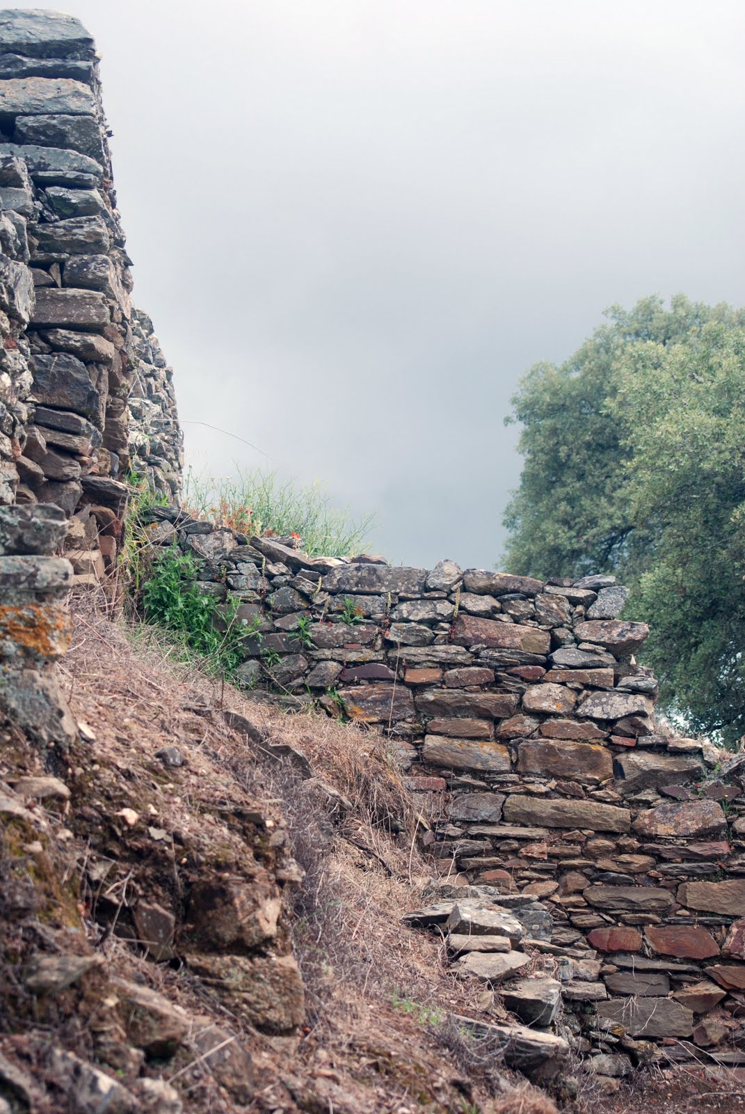 ArqueoLugares: CASTRO da COLA. prox. Ourique. Alentejo. Portugal