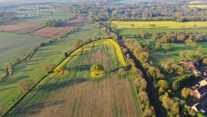 Wythall in Spring #5