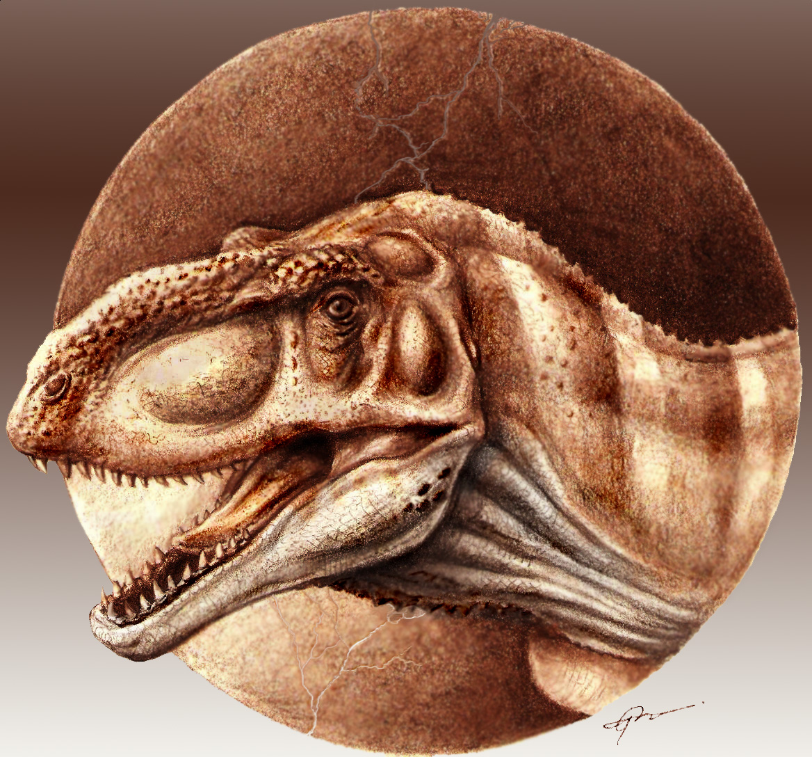 Palaeos, la historia de la Vida en la Tierra: Dinogalería: Abelisaurus