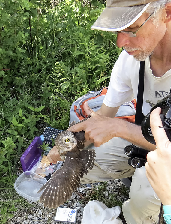 Teachable Moments: 2016