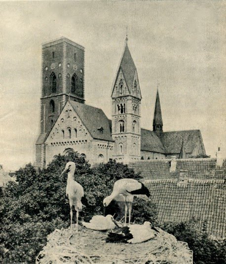 The stork hans christian andersen - hans christian andersen aspergers