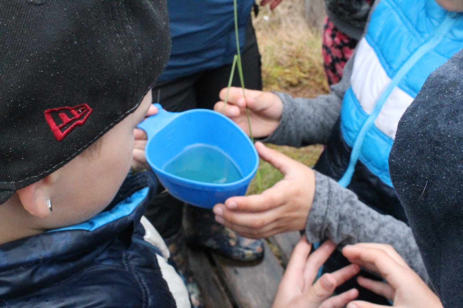 Meie klassi toimetamised: Õppekäik.Matk Valgesoo rabas.