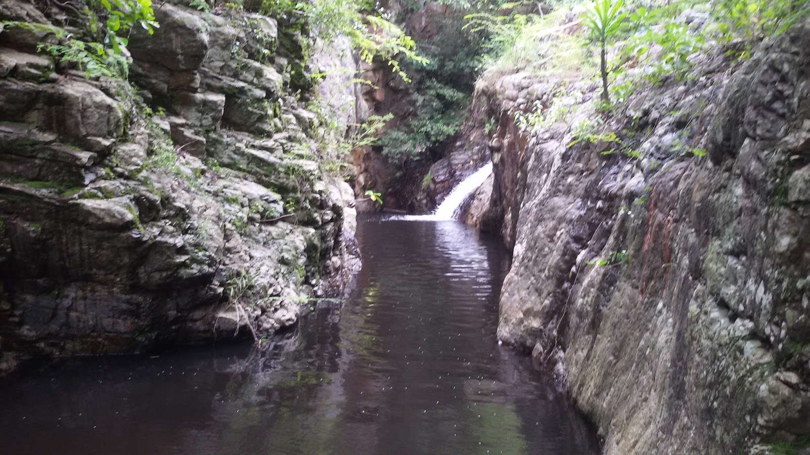 Trekzon : Nagala Trek - Saddhi Koodu Falls Entry
