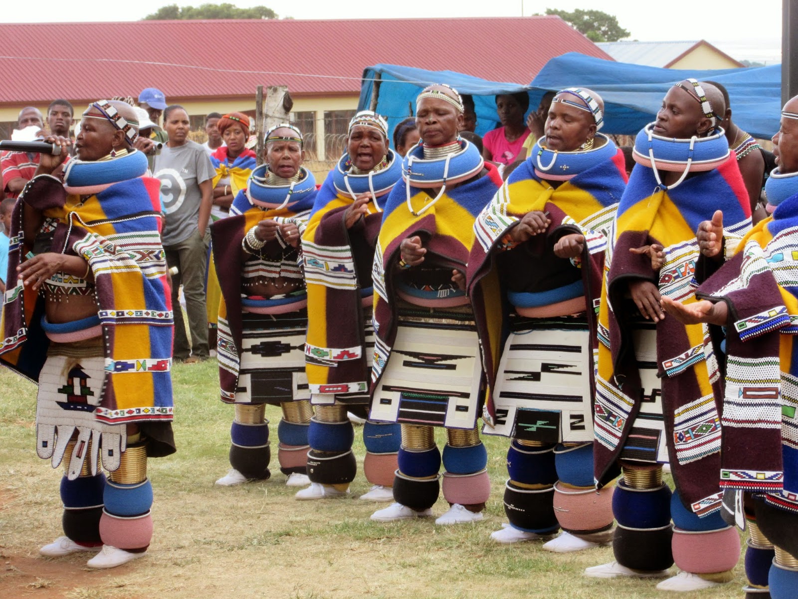 The Great Wildebeest Migration: Ndebele Art Tour