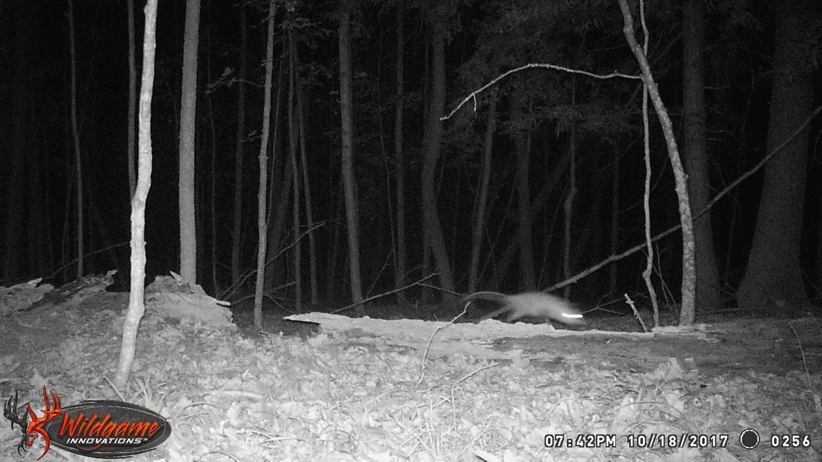 Isabella Conservation District Environmental Education Program: 2017