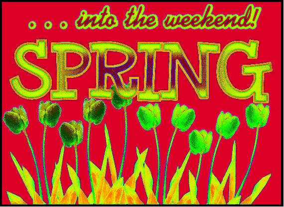 Reflections from Bon Bon Pond: March 2014