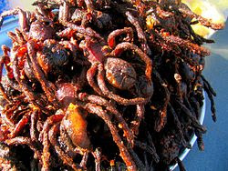 Culturally diverse: Roasted spider