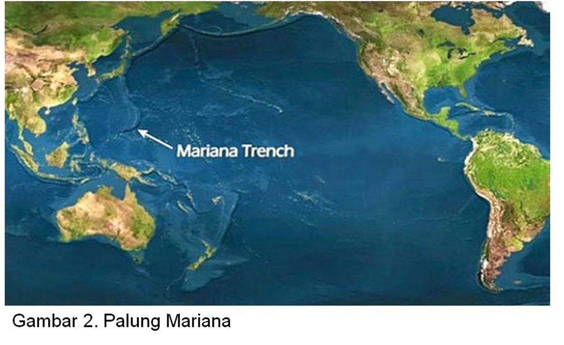 BERBAGI ITU INDAH. COM: PENGERTIAN DAN DISTRIBUSI PALUNG