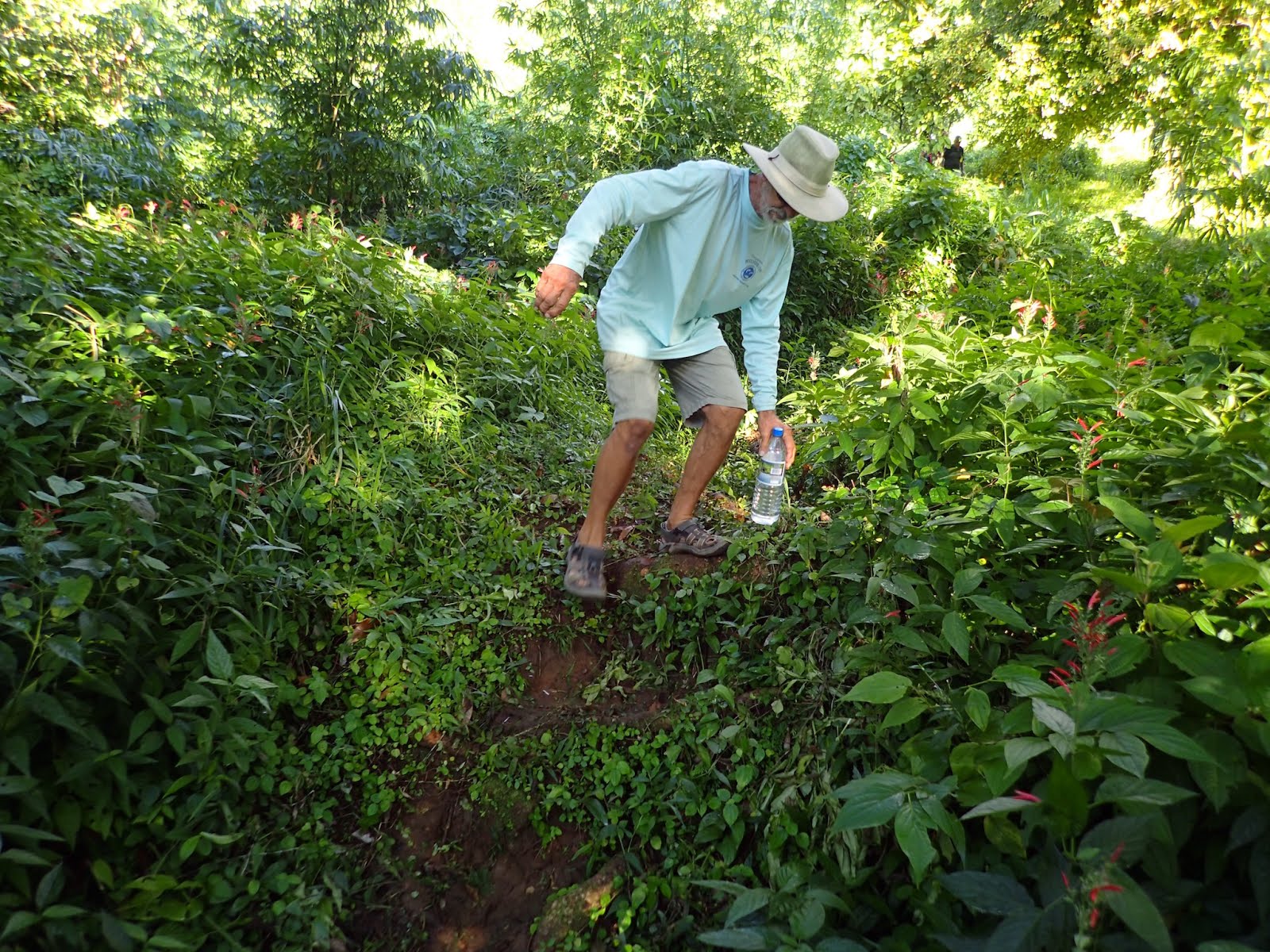 Things we did today...: 2017