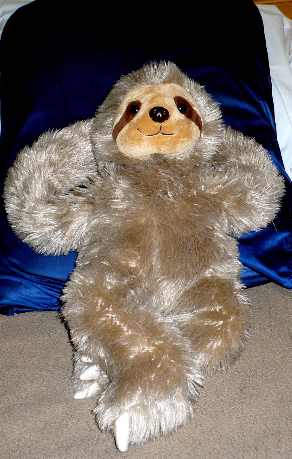 Roosterhen Diaries: Slowpoke Sloth Ventures Out