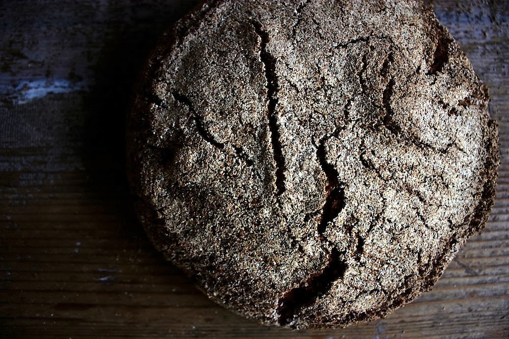 Tartine Bread Experiment: Sidebar Sunday: Happy Accident 100% Sprouted Rye
