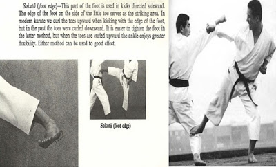 Karatê Shotokan Chutes