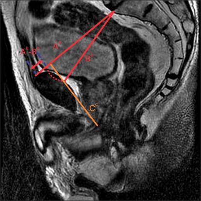Tecnicos Radiologos: septiembre 2015