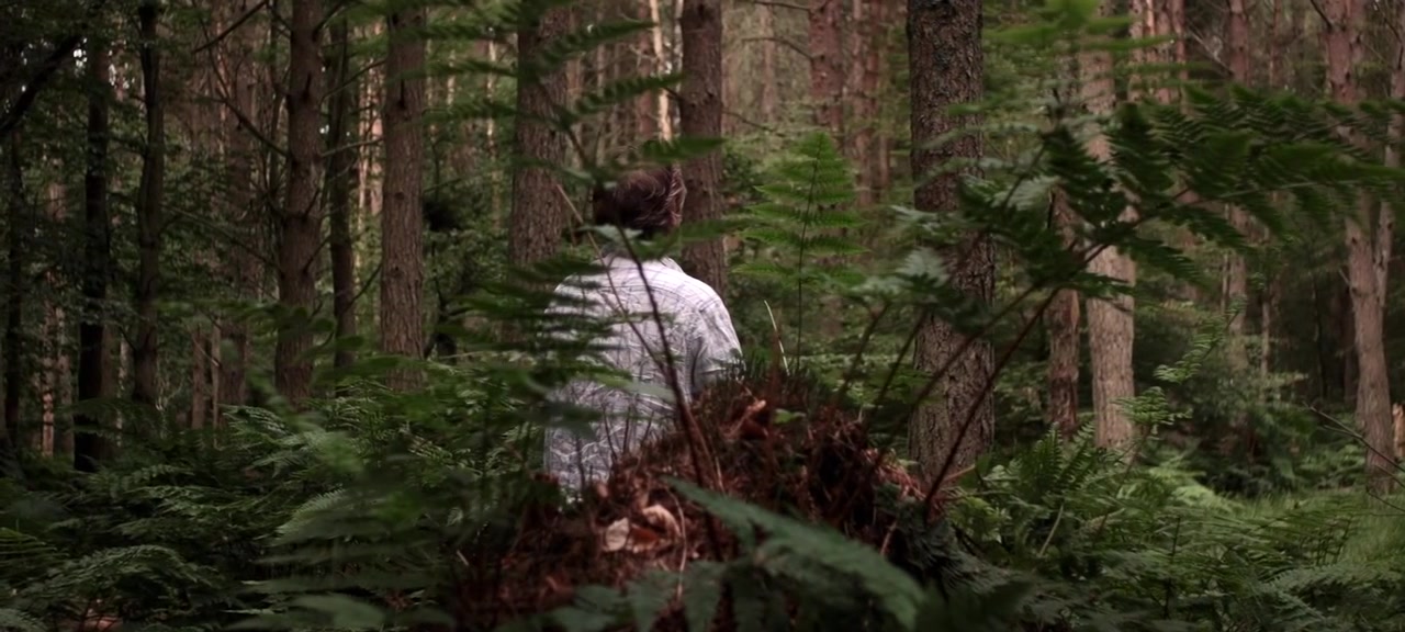 Behind The Scenes Movie Review The Redwood Massacre Available Now