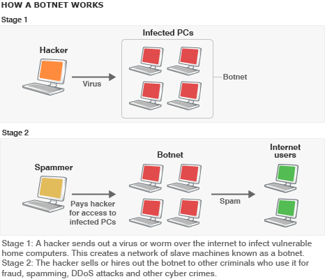 TechnO GeeK..: What are BotNets???