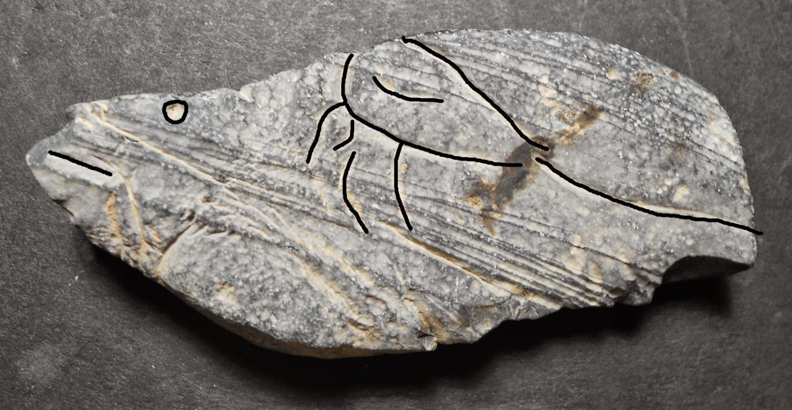 Archaeology of Portable Rock Art: Three incised portable art rocks from ...