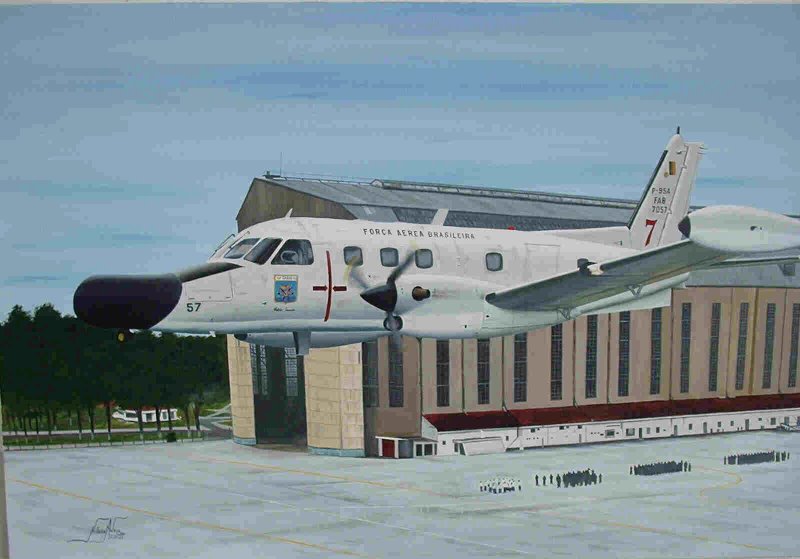 NELSON ANAYA - A ARTE AERONÁUTICA