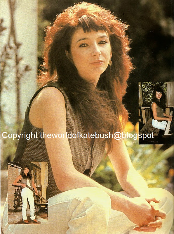 THE WORLD OF KATE BUSH: A Visual Documentary (Book)