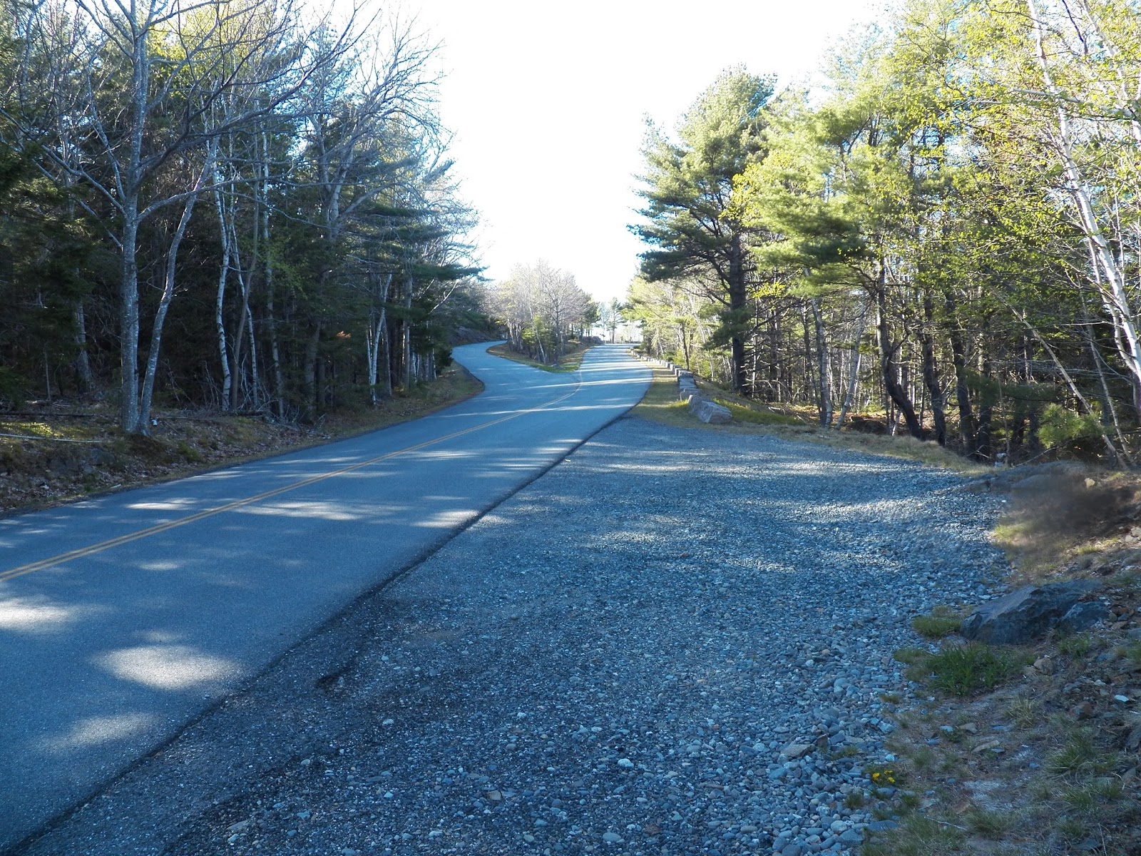 ABANDONED TRAILS OF ACADIA NATIONAL PARK: ABANDONED WITCH HOLE POND ...