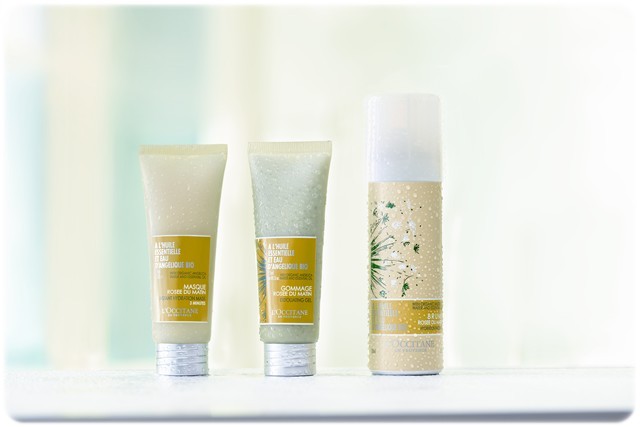 Living Daisy: The Fresh and Only L'Occitane Angelica