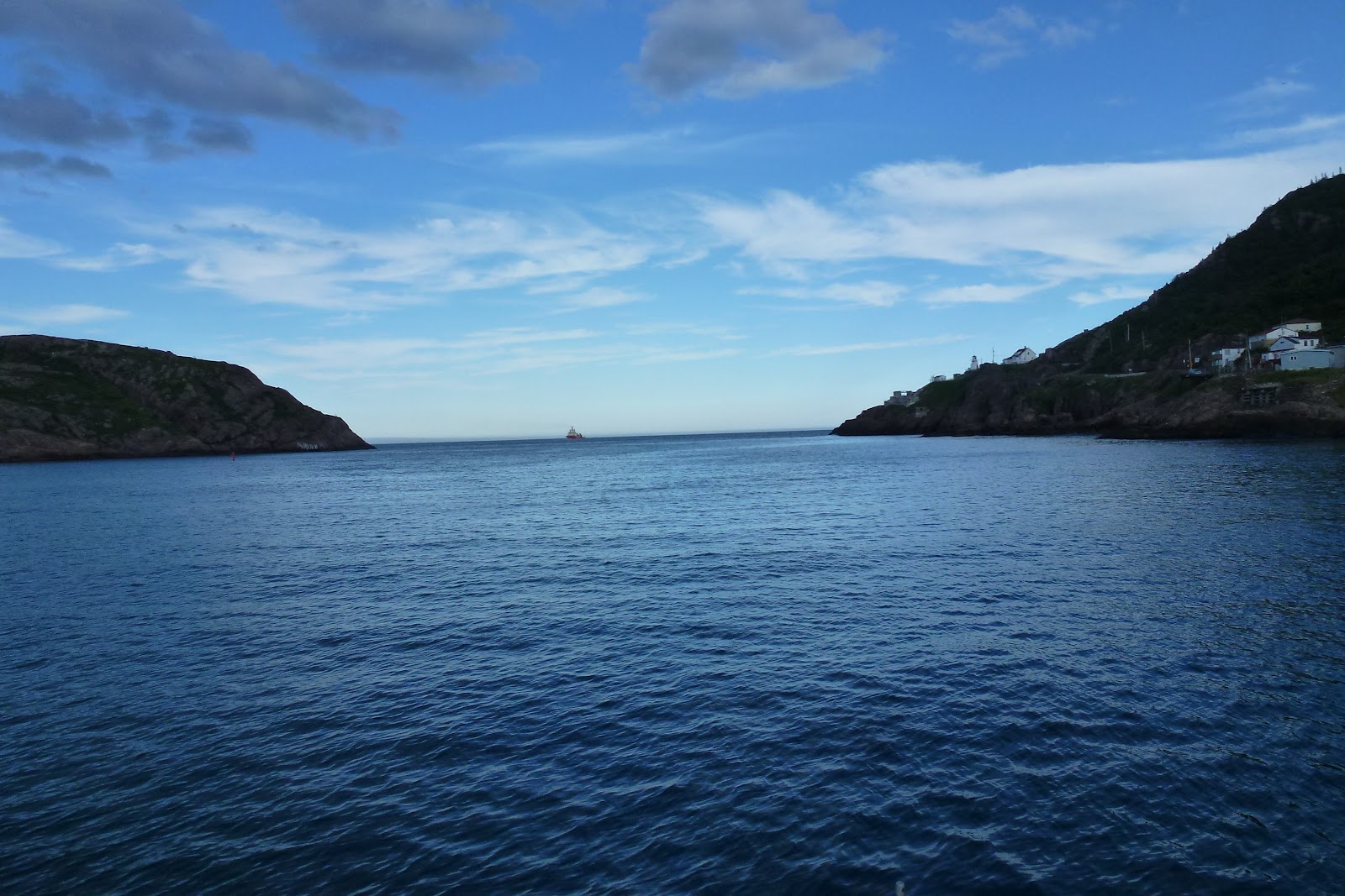 Charming Shadows: Life on the Farm: Newfoundland