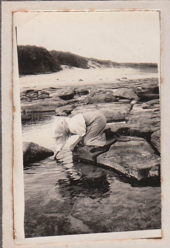 Shellharbour's Local History Blog: 12/01/2013 - 01/01/2014