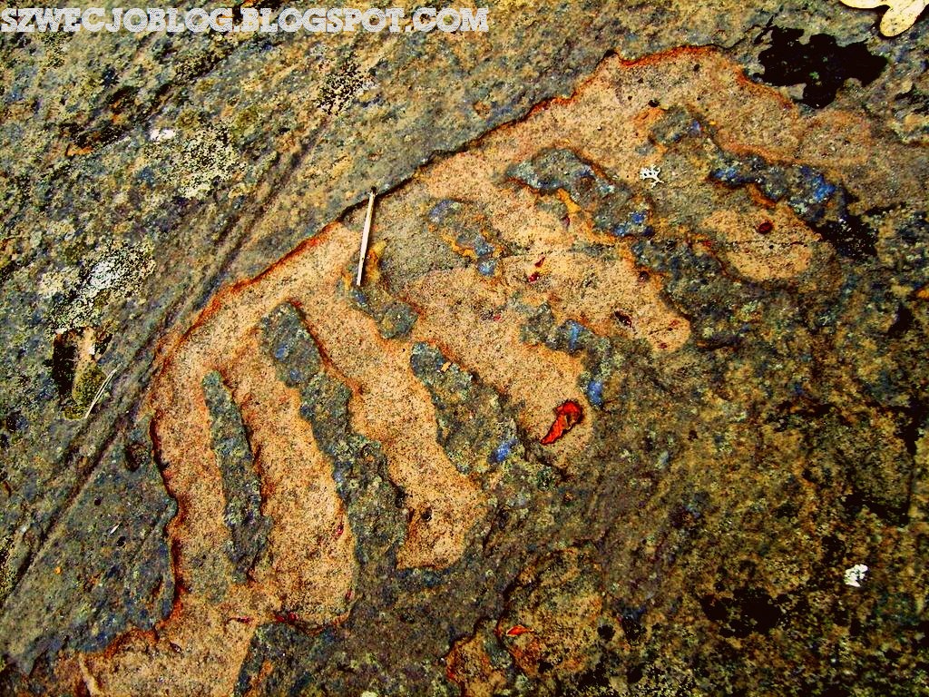 Szwecjoblog - blog o Szwecji: z prehistorią twarzą w twarz - ryty ...