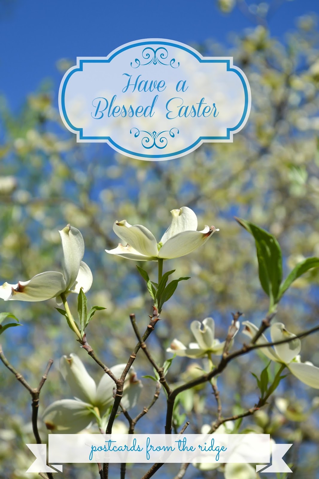 Have a blessed Easter | Postcards from the Ridge