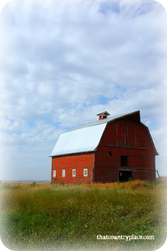 That Country Place: Harvest time on the prairies.