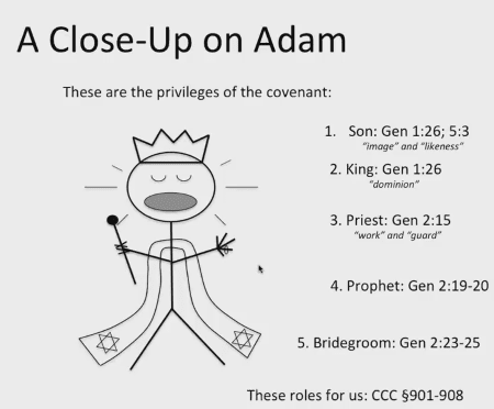 Catholic Bible Studies: Teaching the Big Picture of Salvation History ...