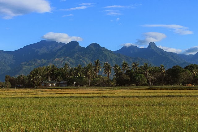 Mt. Maruyog - KeyzoneBlog