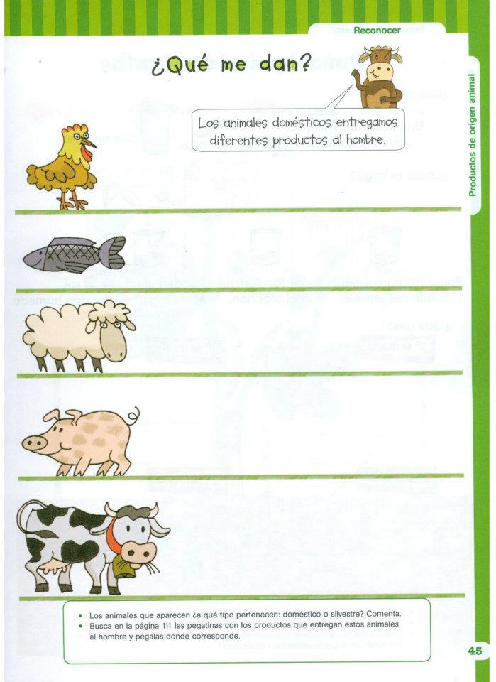 Actividades Escolares: Desarrollando ciencias