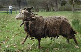 Mommy Rotten: September 2011