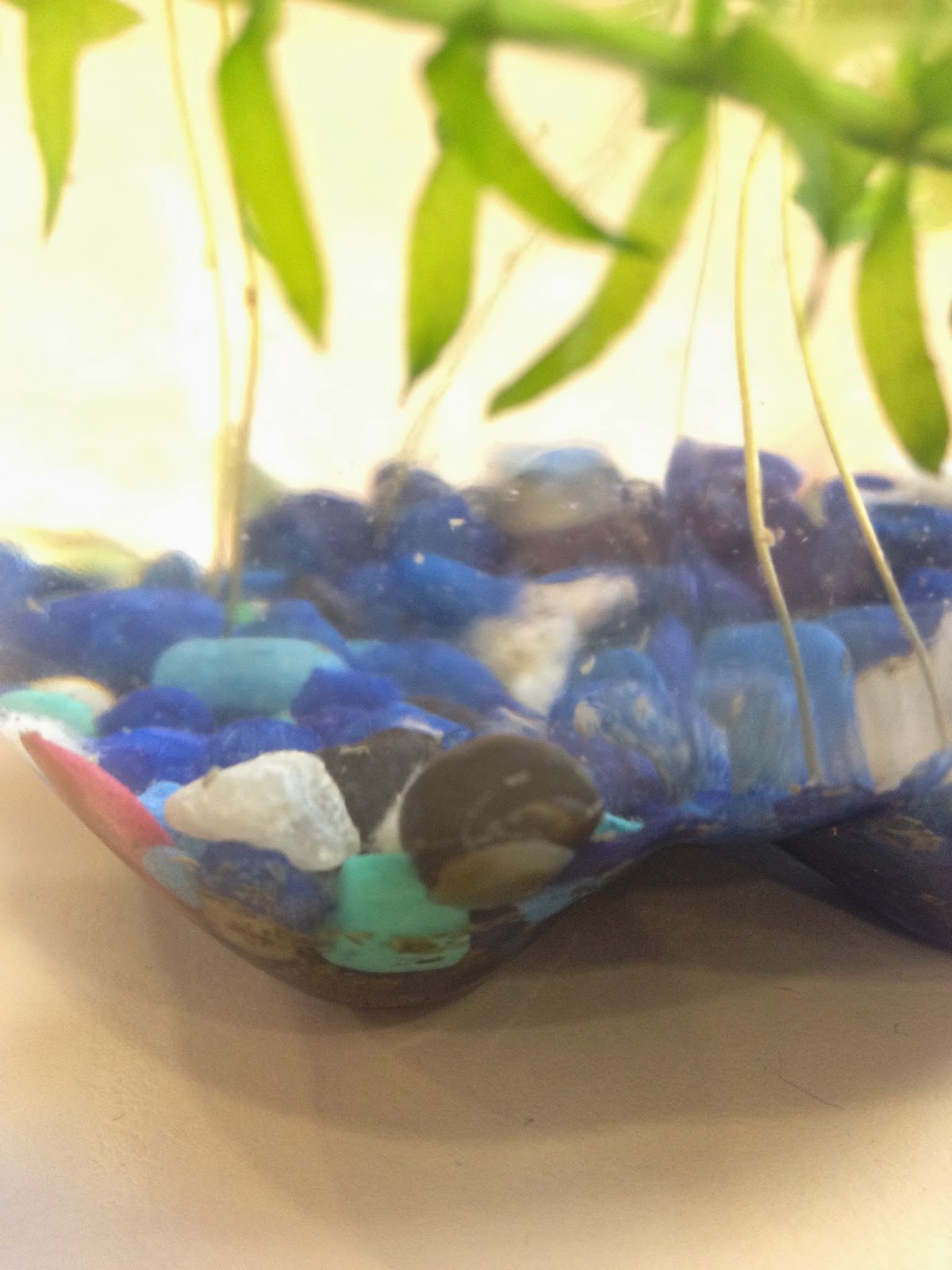 Ecosystem in a Bottle: Ecosystem in a Bottle: Week 7