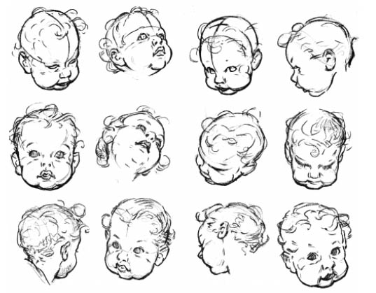 Animopus: Head Prespective Reference Animopus: Head Prespective Reference