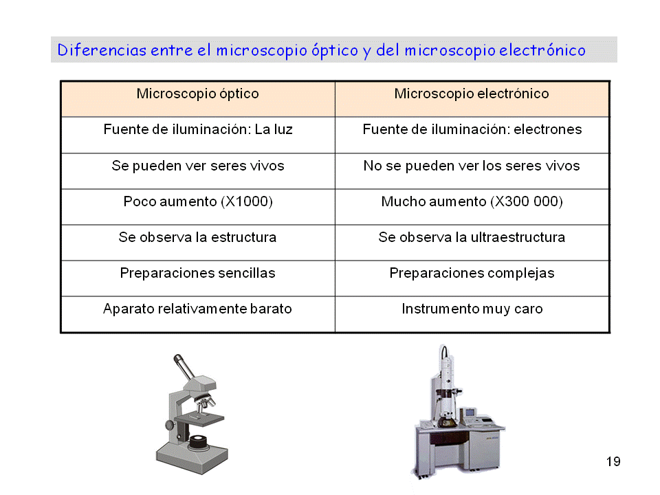 NUESTRO MUNDO MICROSCÓPICO | Una mirada a nuestro mundo viviente