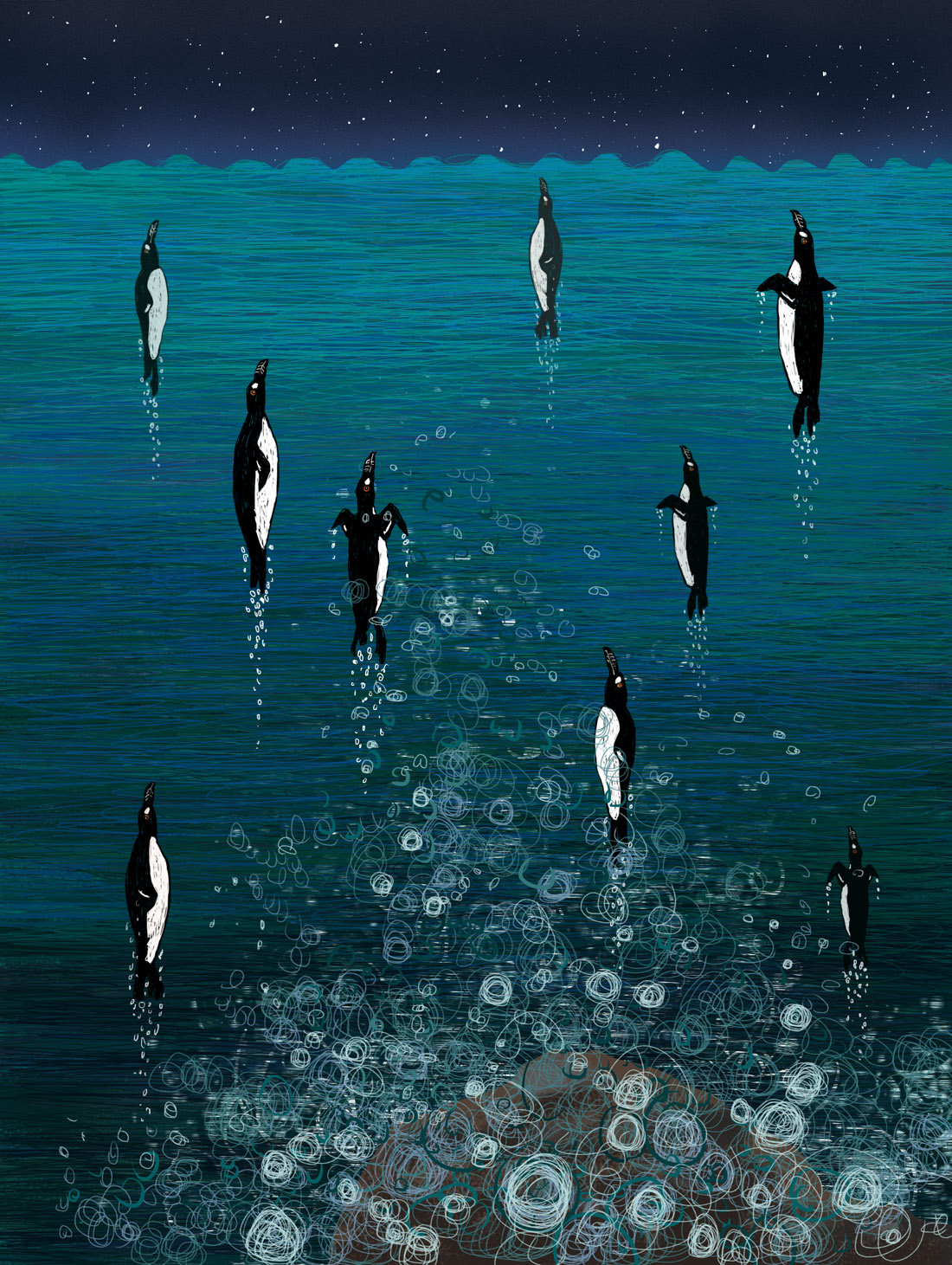 Sci/Why: Canada's Only Great Auk