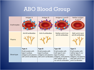 To Science and Beyond: Blood Typing