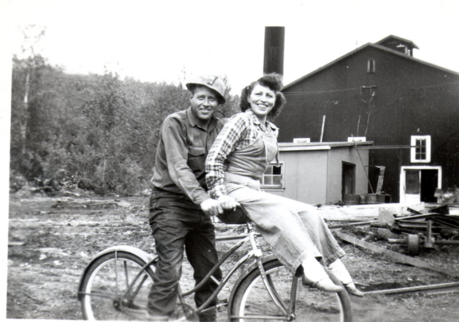 Grampa Stan Stark's Thoughts: The Buffalo Mine near Palmer Alaska