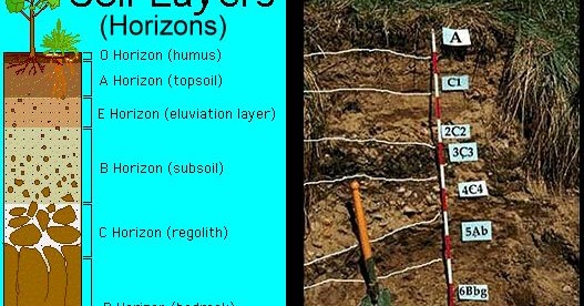Profil Tanah (Soil Horizon) - Geograph88
