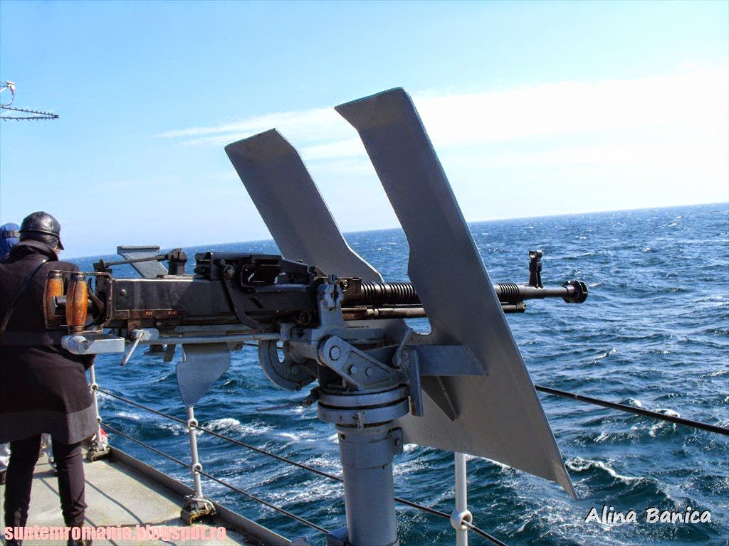 Suntem România! (revistă-magazin independenta): 834.EXERCITIUL ROMANIAN ...