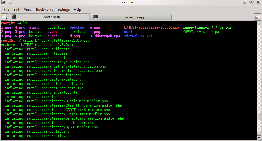 will began: INSTALLING MUTILLIDAE ON LINUX