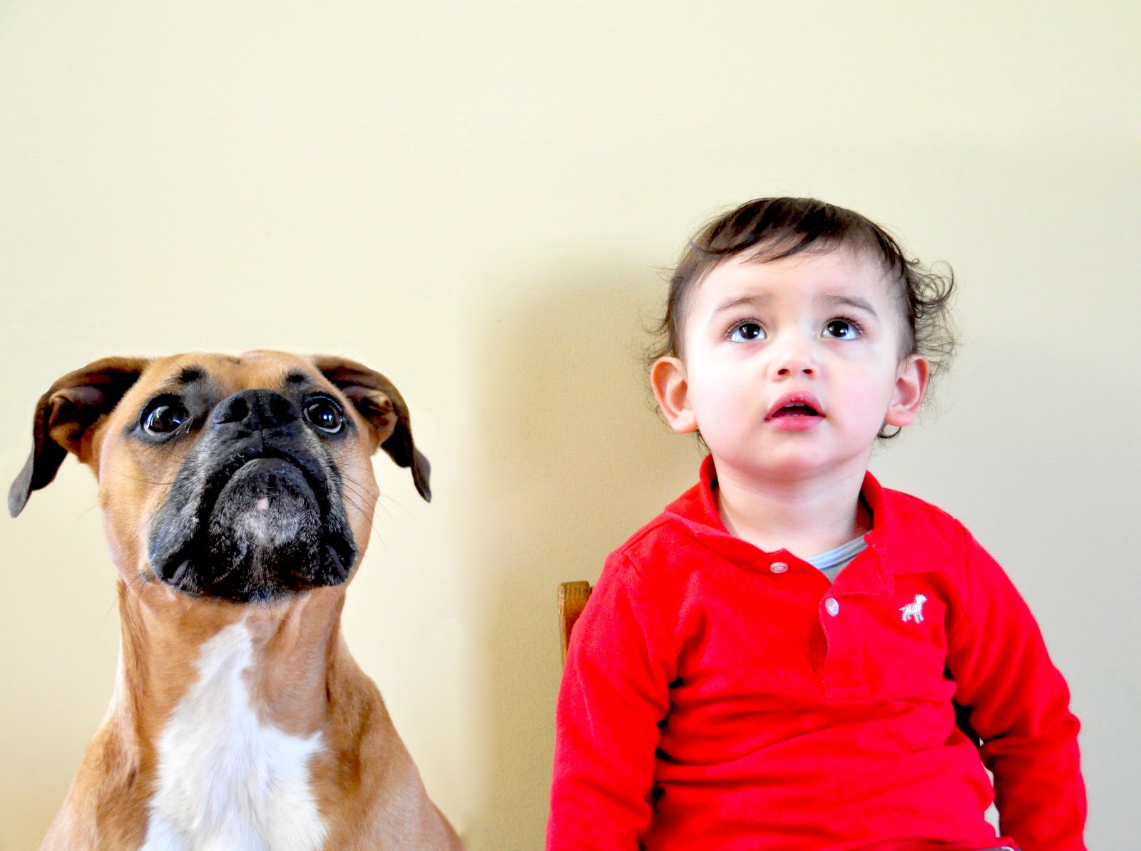 Dukie / The Wire: NBA Casting Call (Duquan aka Dukie) | Too Much ...