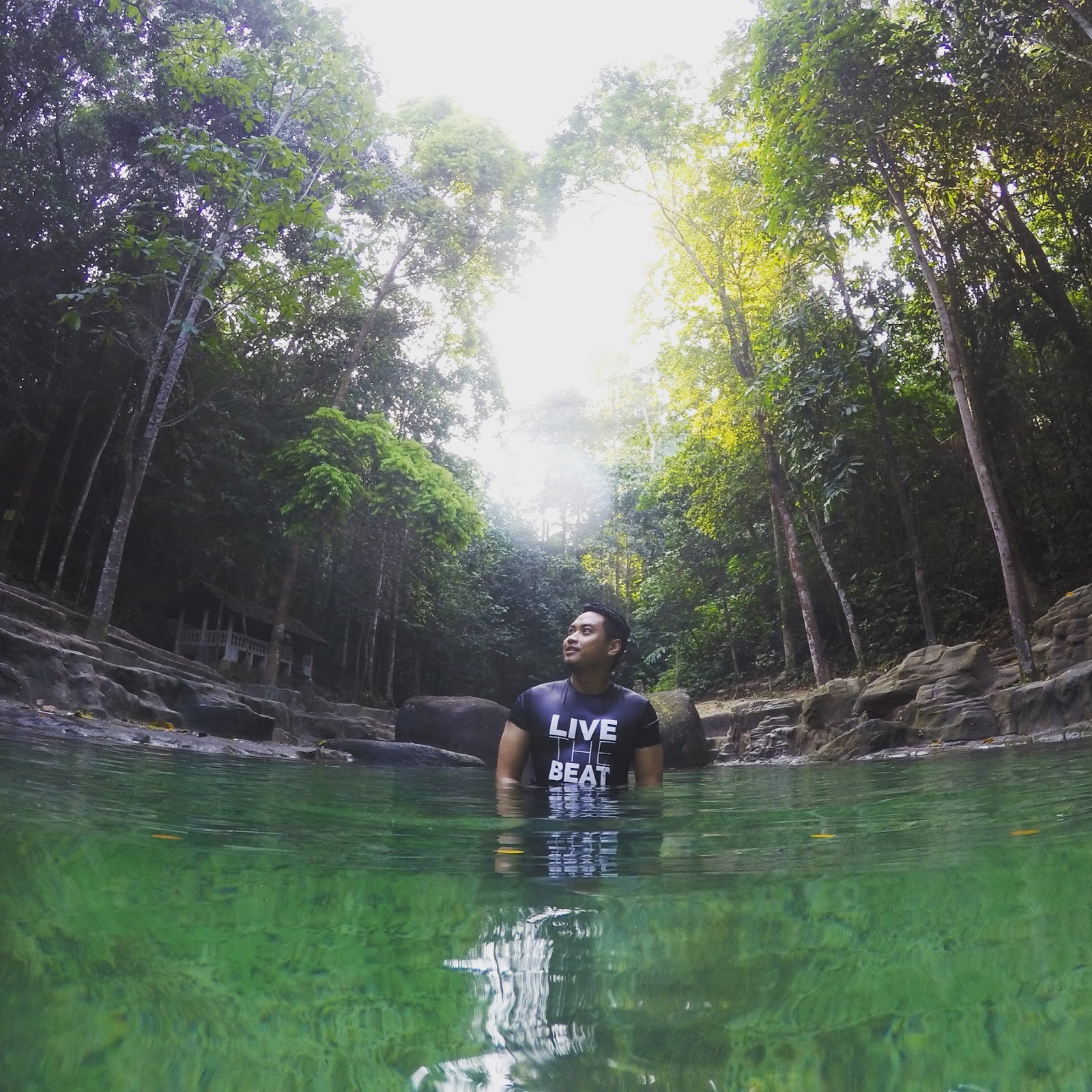 TRAVELERENSEM: Nature Pool Taman Rimba, Teluk Bahang , Penang # ...