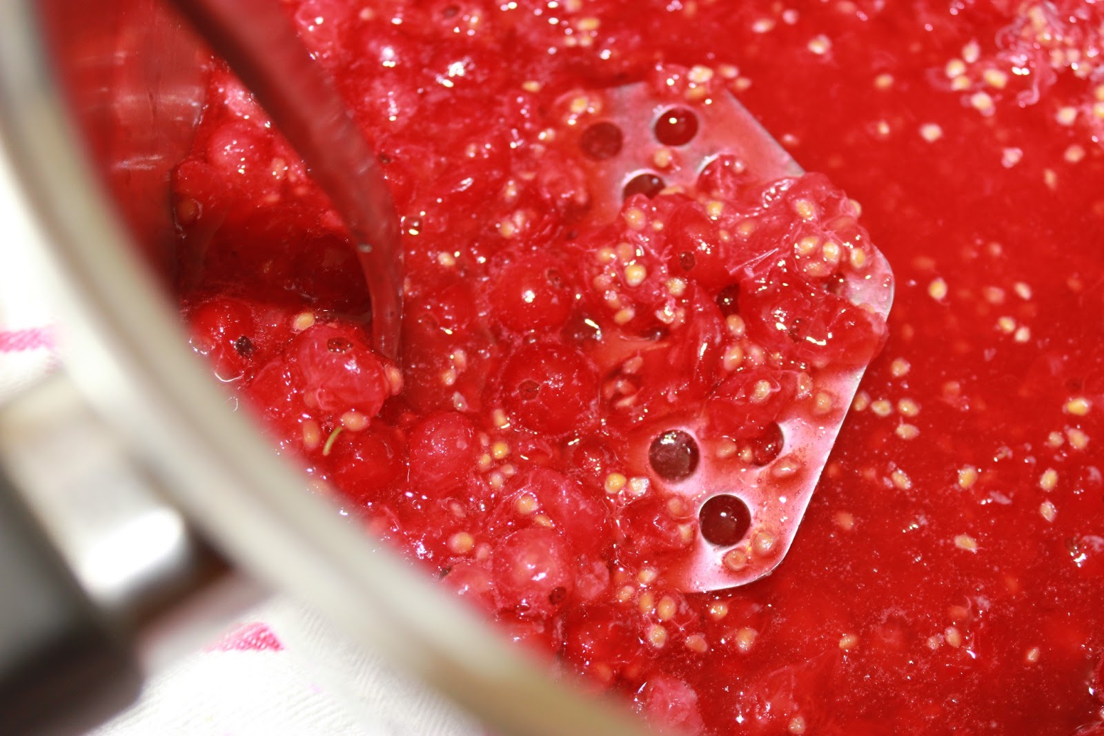 Souped-up Garden: Red Currant Ice Cream