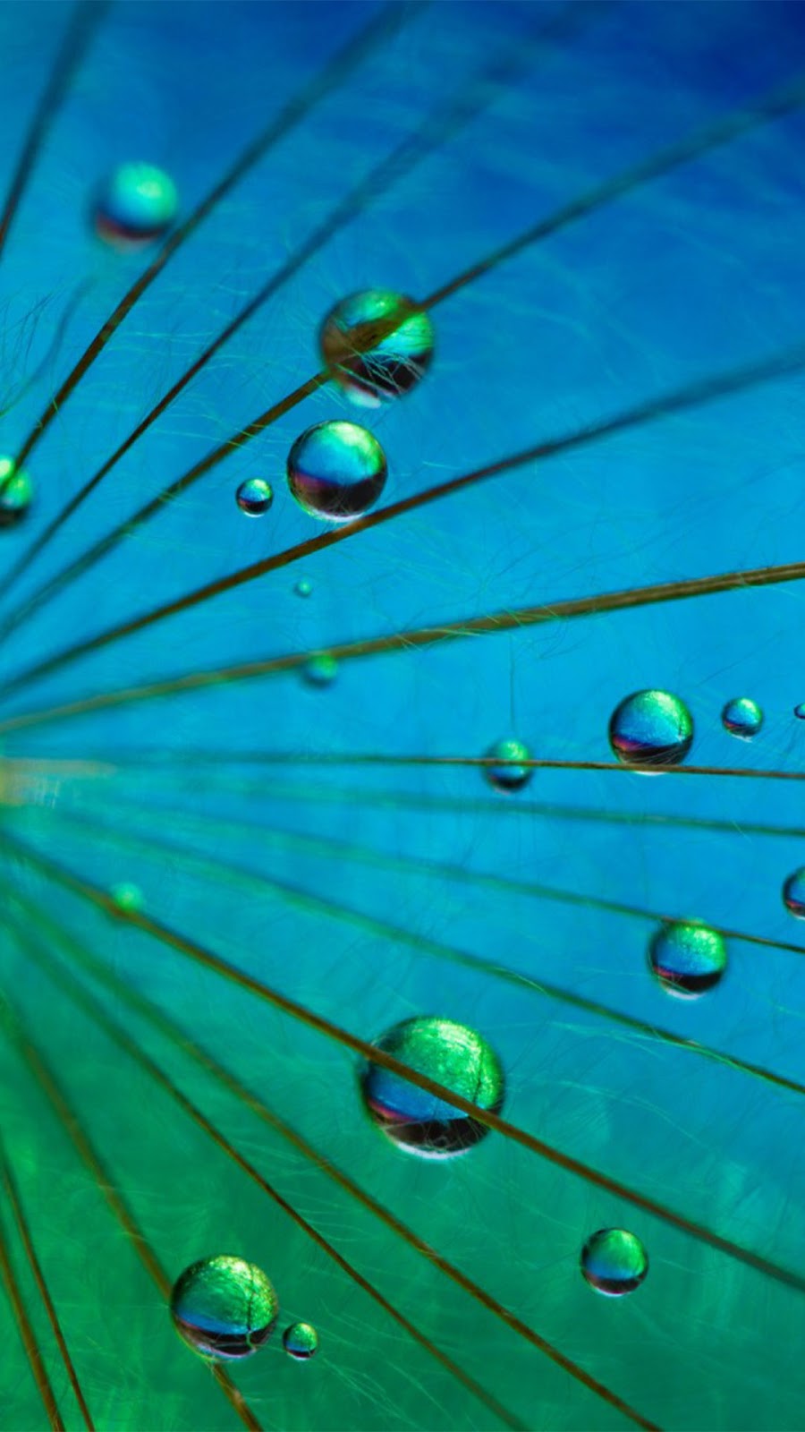 Fondo android pack 117