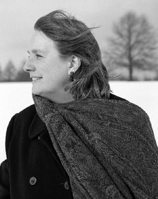 WordBasket: The American Armageddon Factory