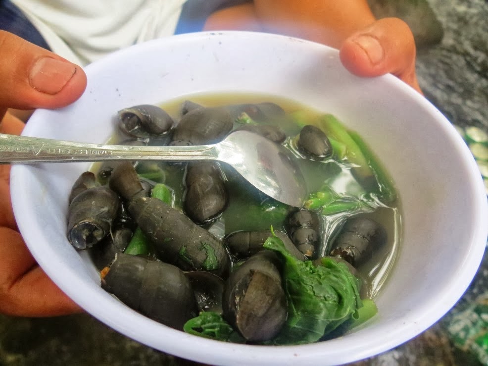 Kampung Pamilaan: Variabel saintifik habitat ‘Dukaruk’ ditemui di Piolungan