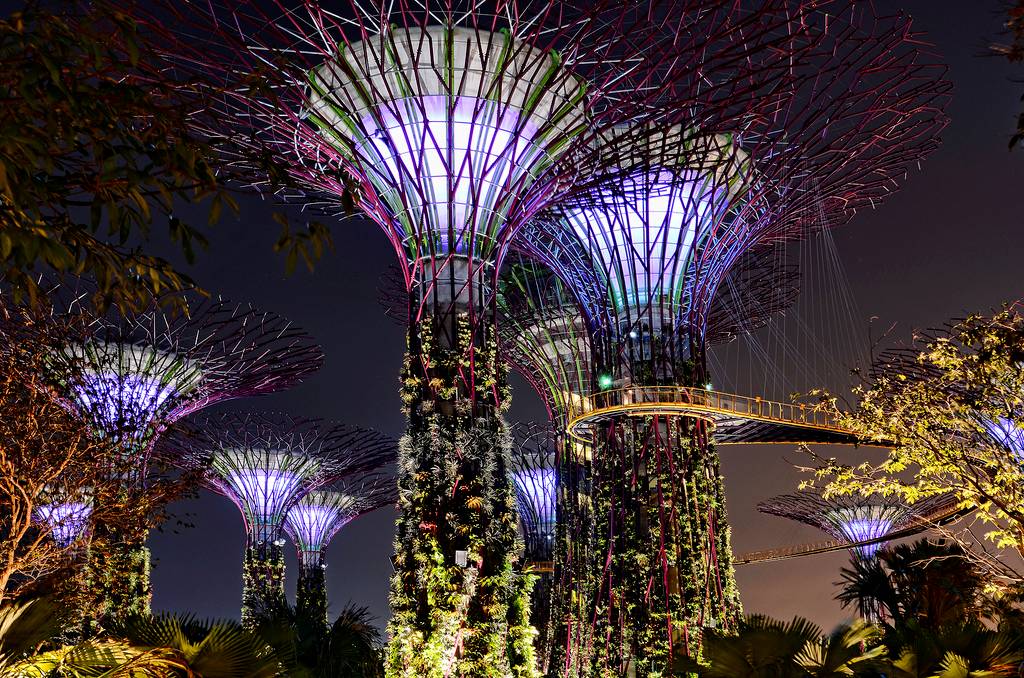 The Supertrees of Singapore ~ Kuriositas