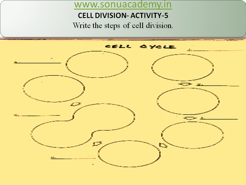 SONU ACADEMY: CELL DIVISION - ACTIVITY 5